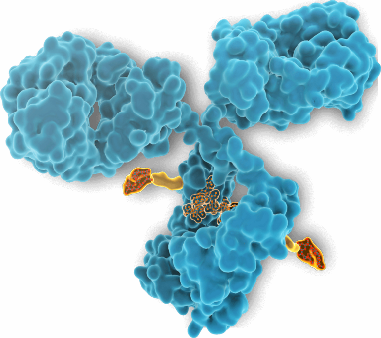 Araris Biotech closes $24m Series A financing round - European ...