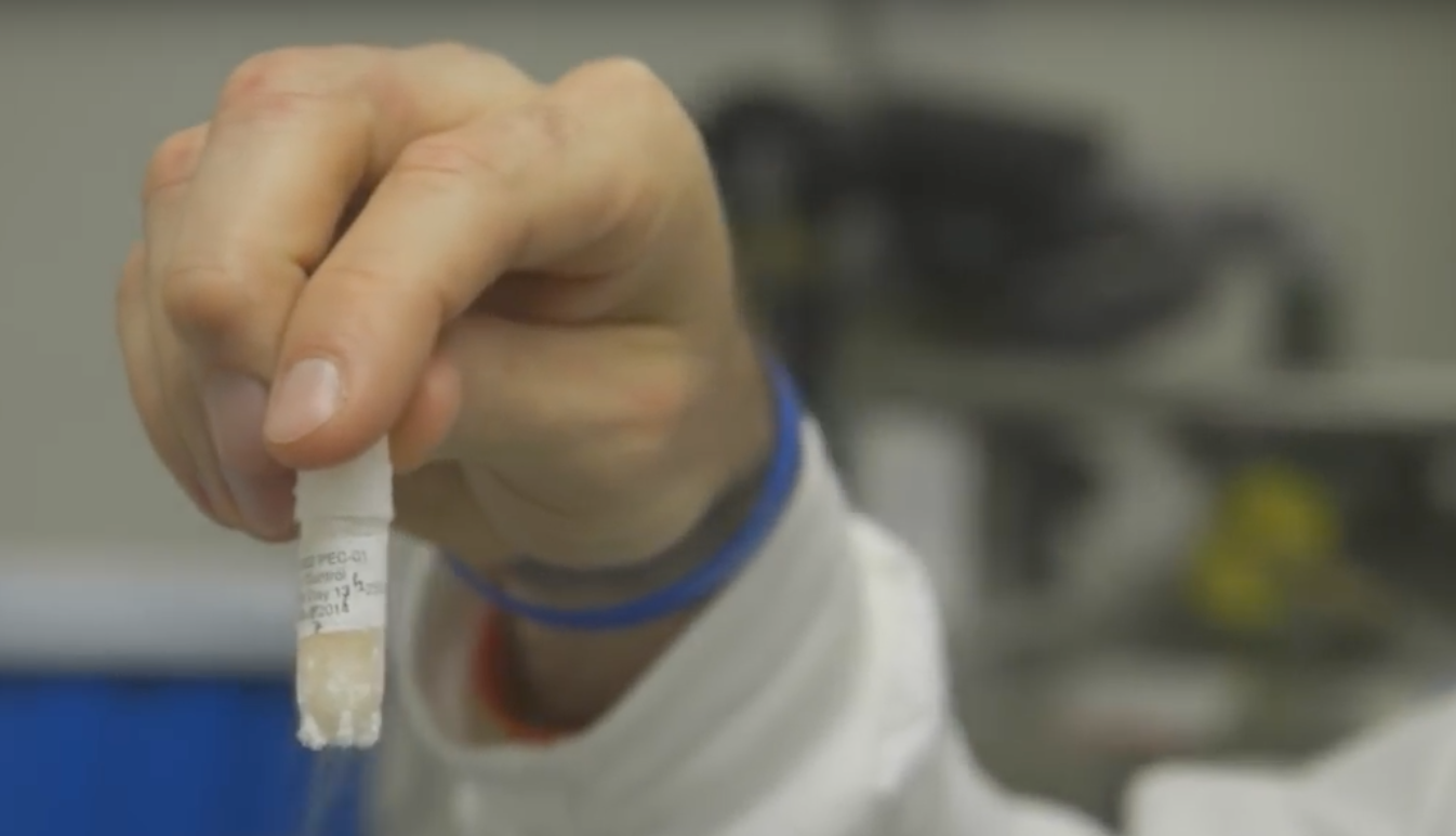 CRISPR Therapeutics and Viacyte launch diabetes partnership - European ...