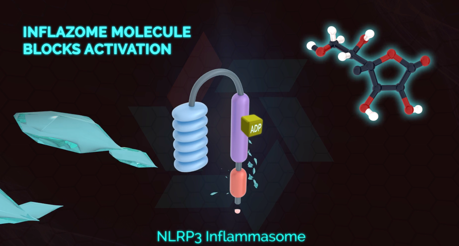 Forbion leads €40m financing in Inflazome Ltd - European Biotechnology ...