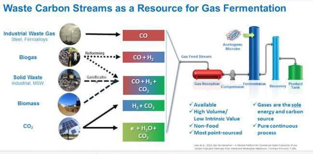 Novo Holdings puts $72m in Lanzatech - European Biotechnology Magazine