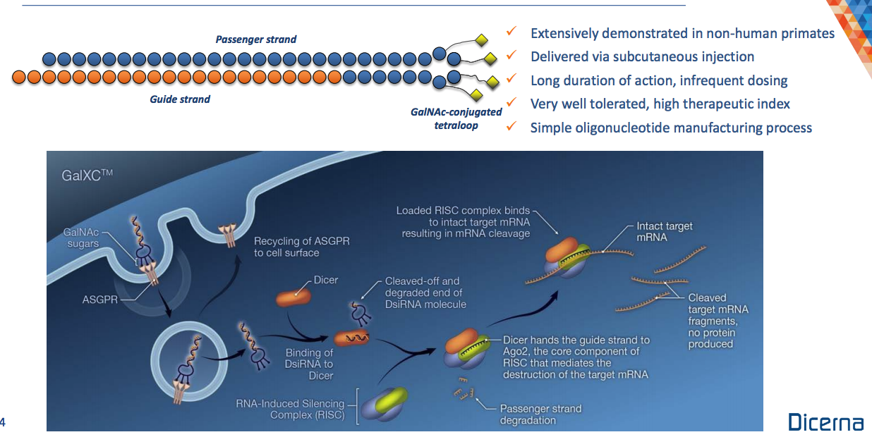 Novo secures Dicerna's RNAi liver assets - European Biotechnology Magazine