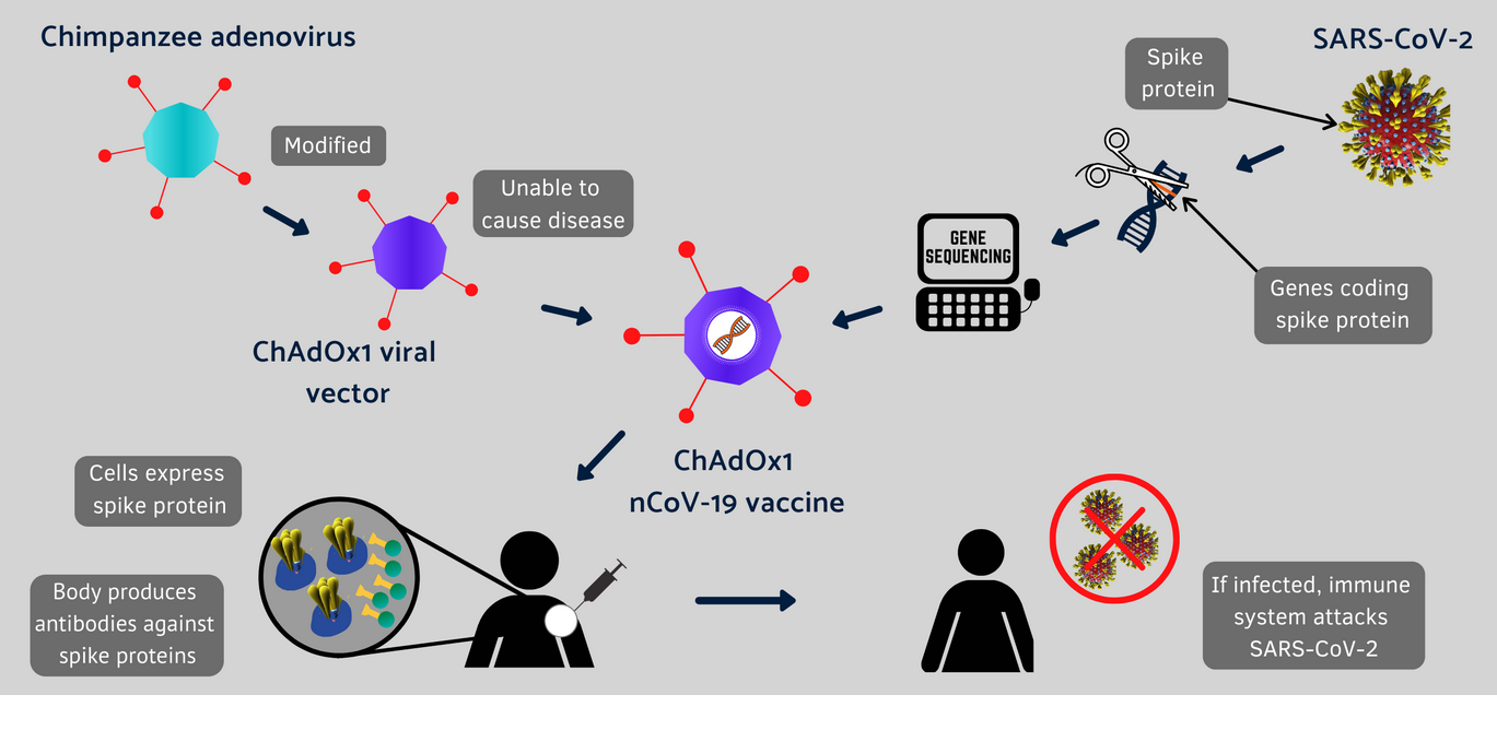 COVID 19: Halix ready for vaccine production - European Biotechnology ...