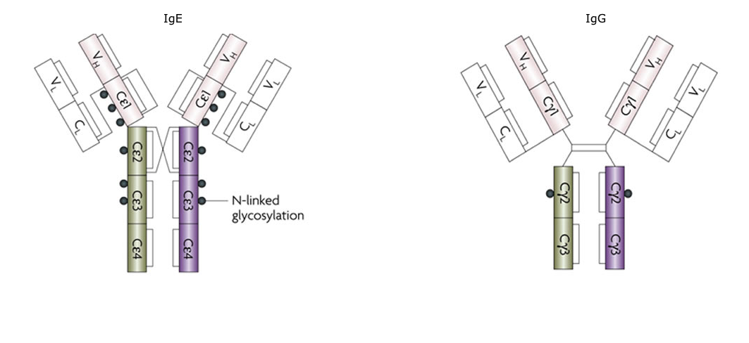 Epsilogen raise £30.75m in Series B financing - European Biotechnology ...