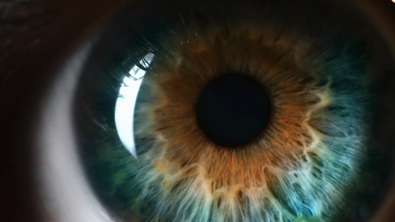 Vigeneron updates gene therapy collab with Daiichi Sankyo - European ...