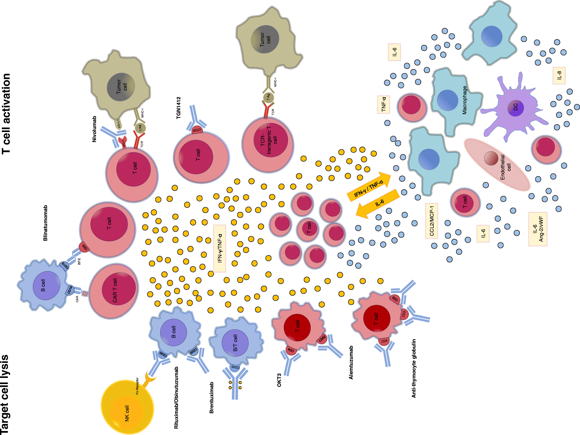 New cheap CRS-blockers at the horizon - European Biotechnology Magazine
