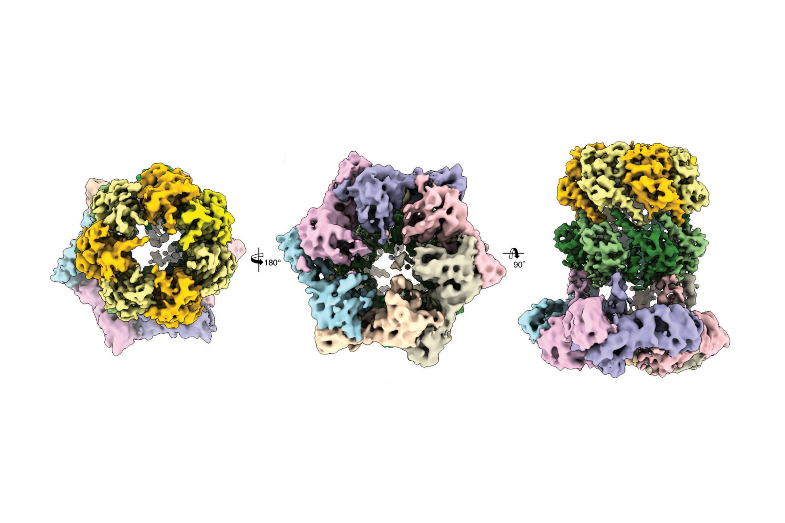 Researchers unravel how ADEP antibiotics work - European Biotechnology ...