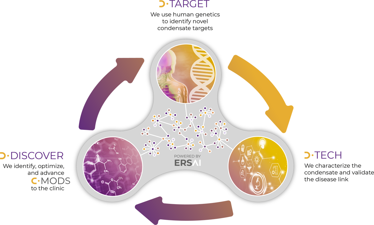 Evotech screens cancer candidates for Dewpoint Therapeutics - European ...