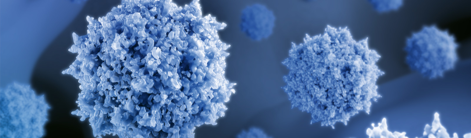 Cevec launches ELEVECTA platform - European Biotechnology Magazine