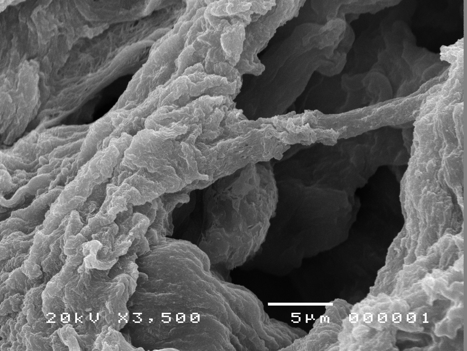 Engitix Ltd. lands US$500m deal with Takeda in fibrosis - European ...