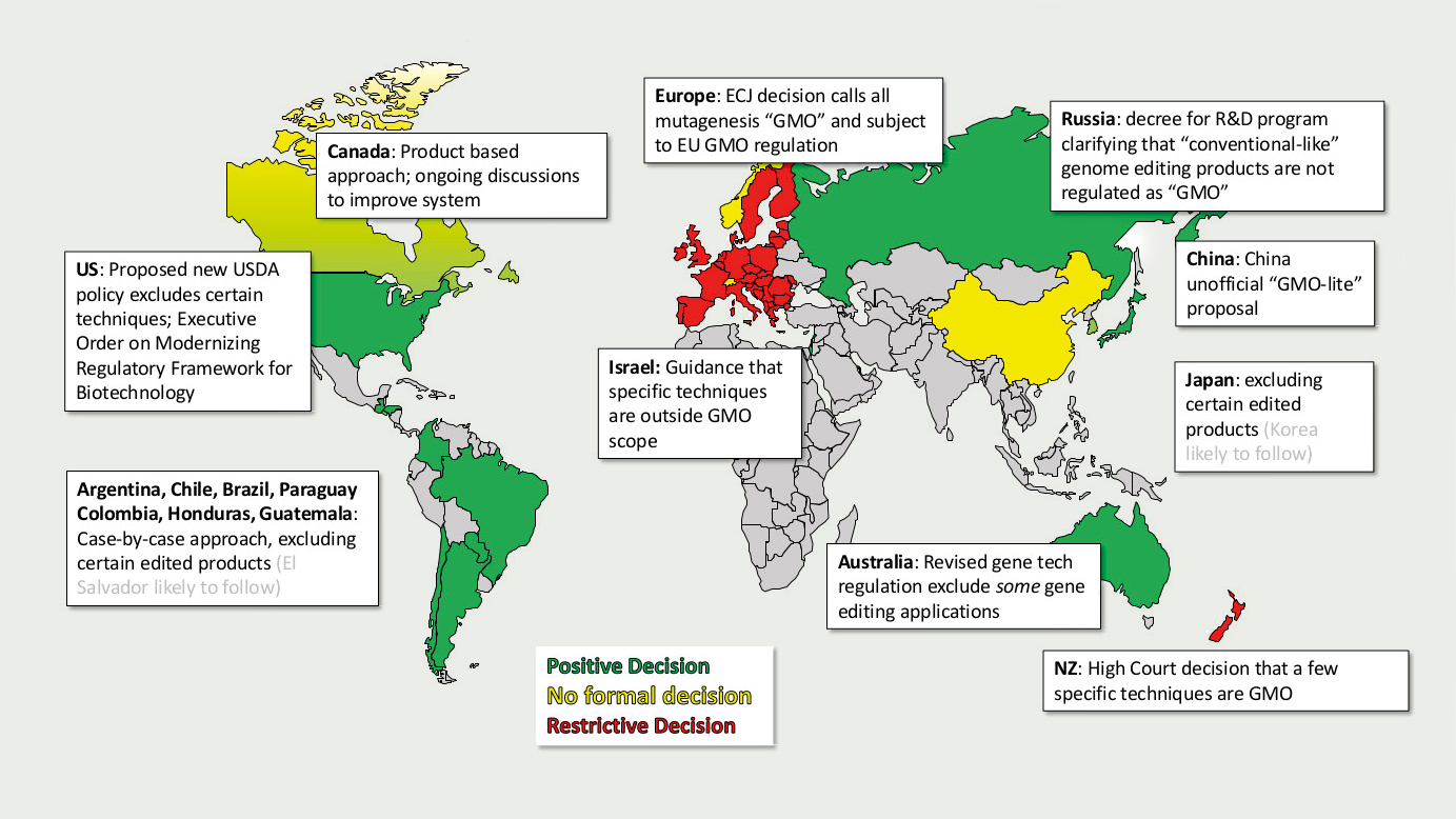 Council presses EC to decide on genome editing - European Biotechnology ...
