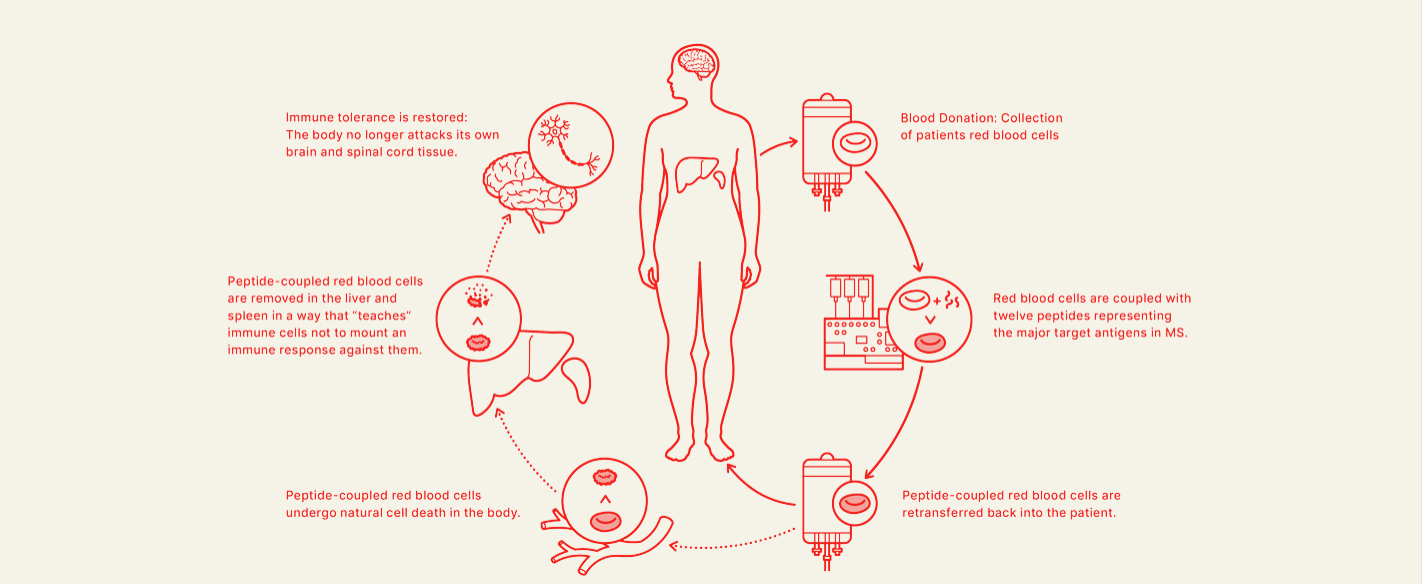 Neogap Therapeutics AB partners with Cellerys AG - European ...