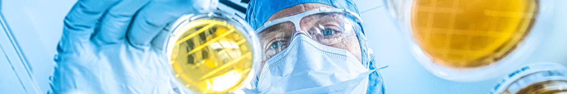 Rheincell set to be acquired by Catalent - European Biotechnology Magazine