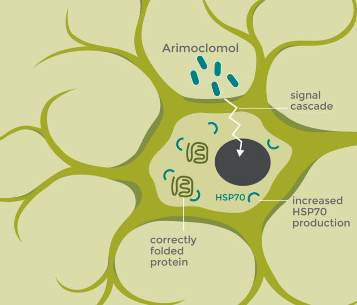 Orphazyme raises €80m in oversubscribed IPO - European Biotechnology ...