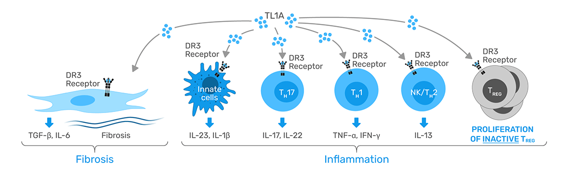 Roche acquires Telavant Holdings to win TLA1 race - European ...