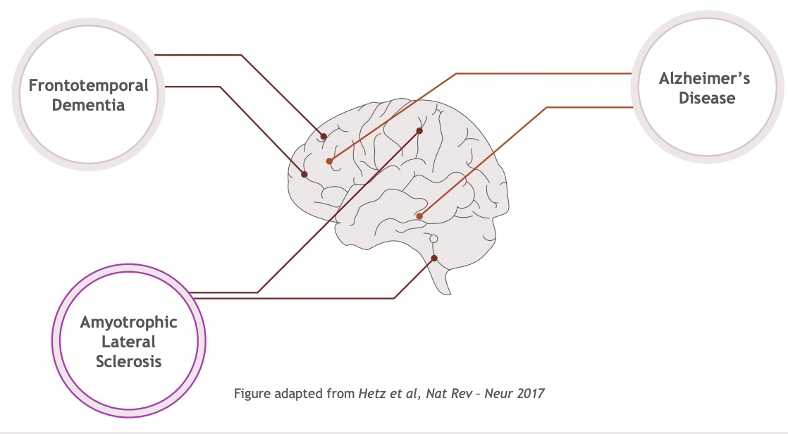 Evotec SE cashes in €20m milestone - European Biotechnology Magazine