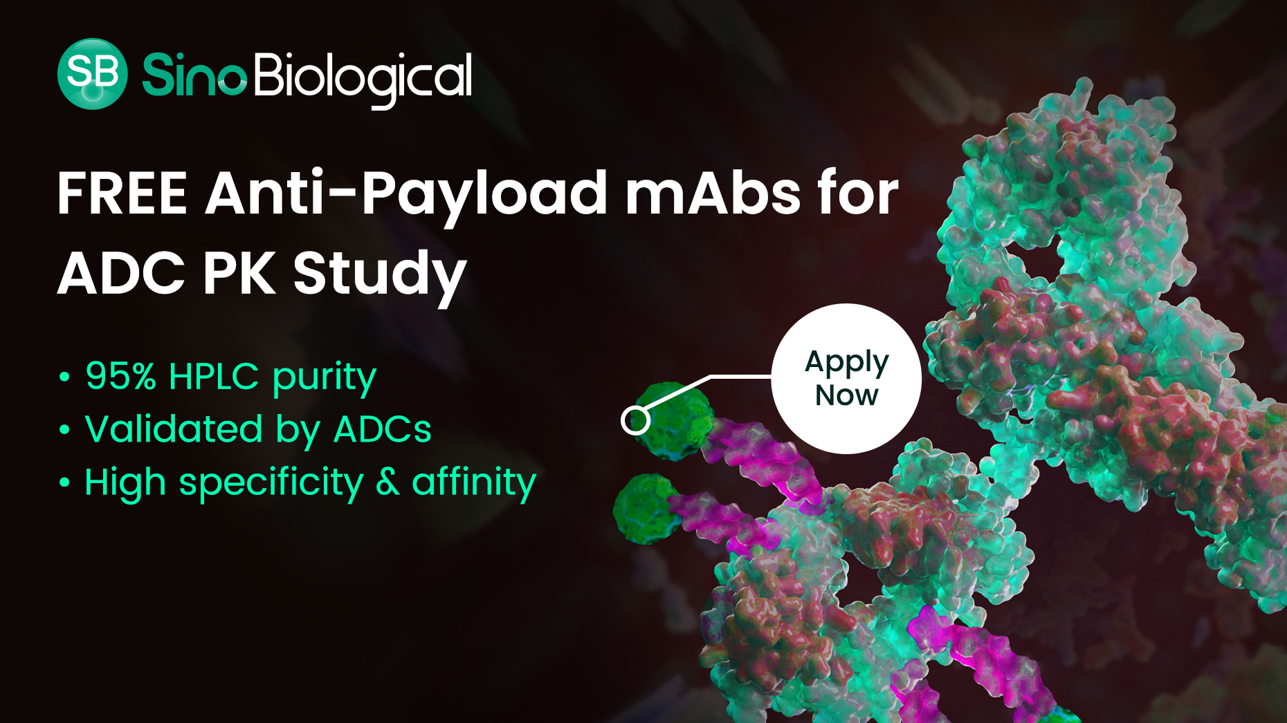 Anti-payload Antibodies: Facilitating ADC PK studies - European Biotechnology Magazine