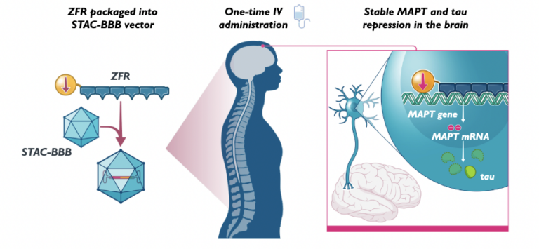Roche inks US$2bn biobucks deal with Sangamo - European Biotechnology ...