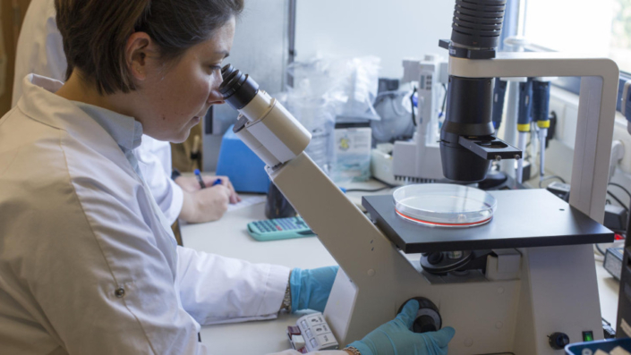 Aequorin: superior choice for GPCR calcium signalling - European ...