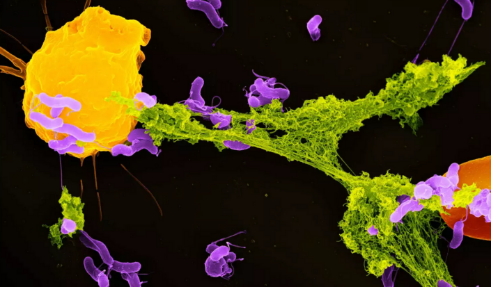 Latest news - European Biotechnology Magazine