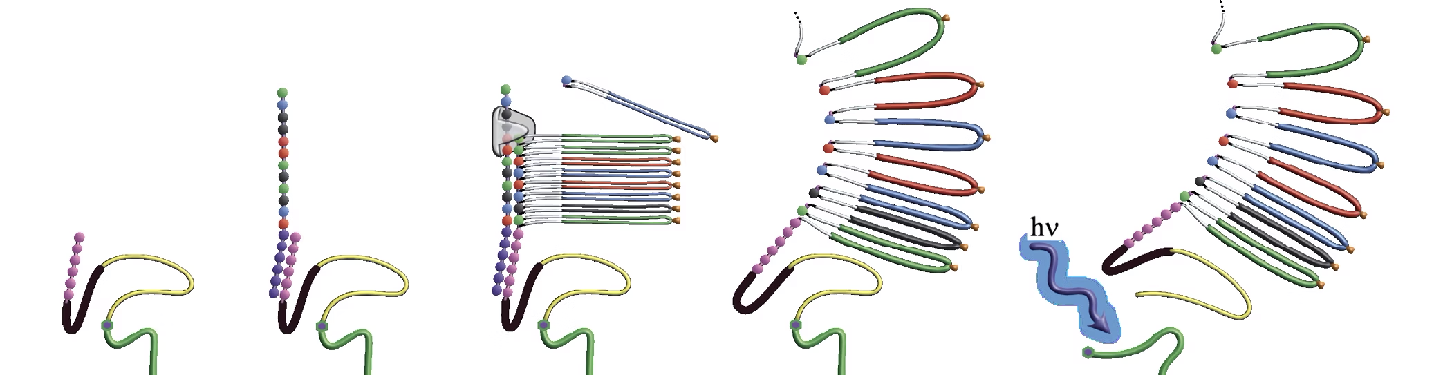 Roche unveils completely new sequencing approach - European ...