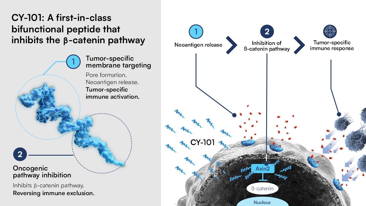 Cytovation ASA bags additional US$6m to drive Phase II study - European Biotechnology Magazine