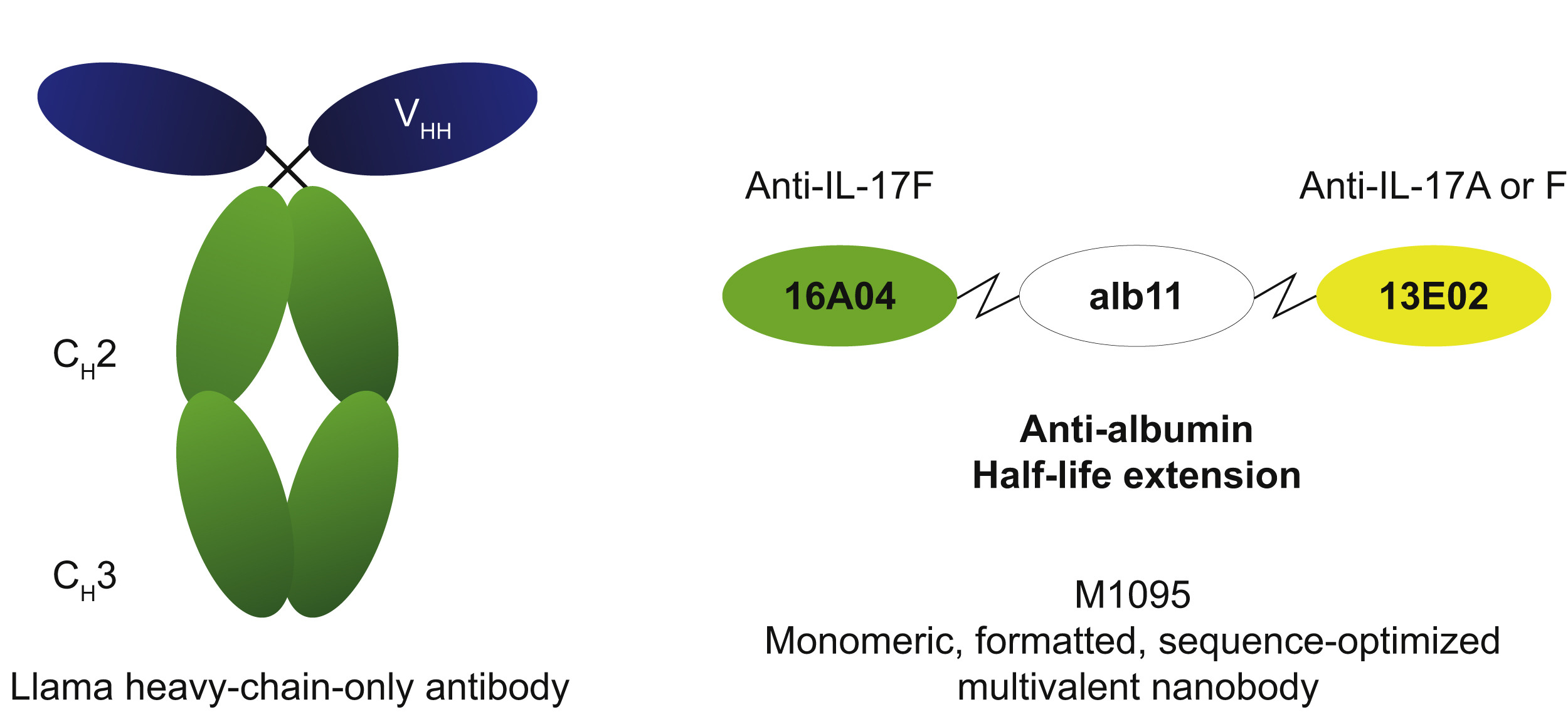 MoonLake in US$500m debt deal with Hercules Capital - European ...