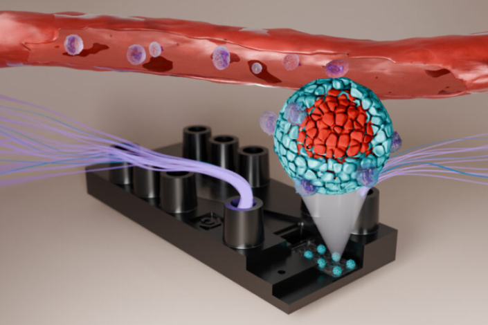 Dynamic42 GmbH starts distribution of organ-on-chip to the US and ...