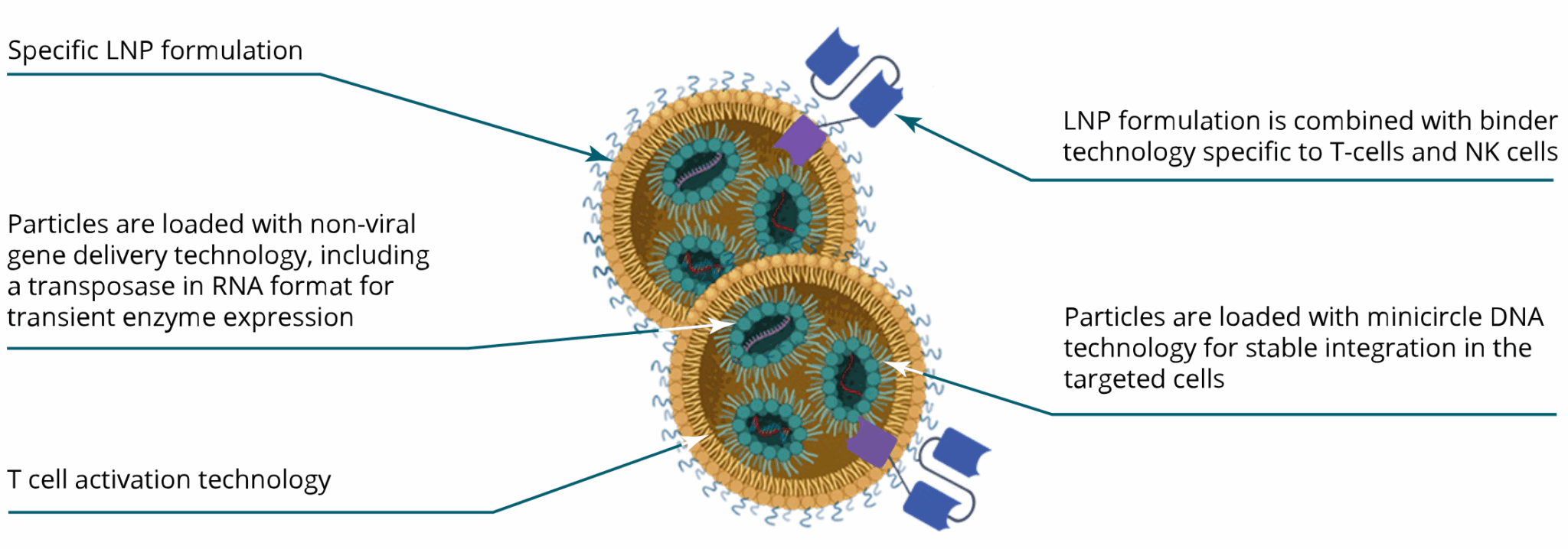 CPTx and NanoCell Therapeutics secure Eurostars grant to develop non ...