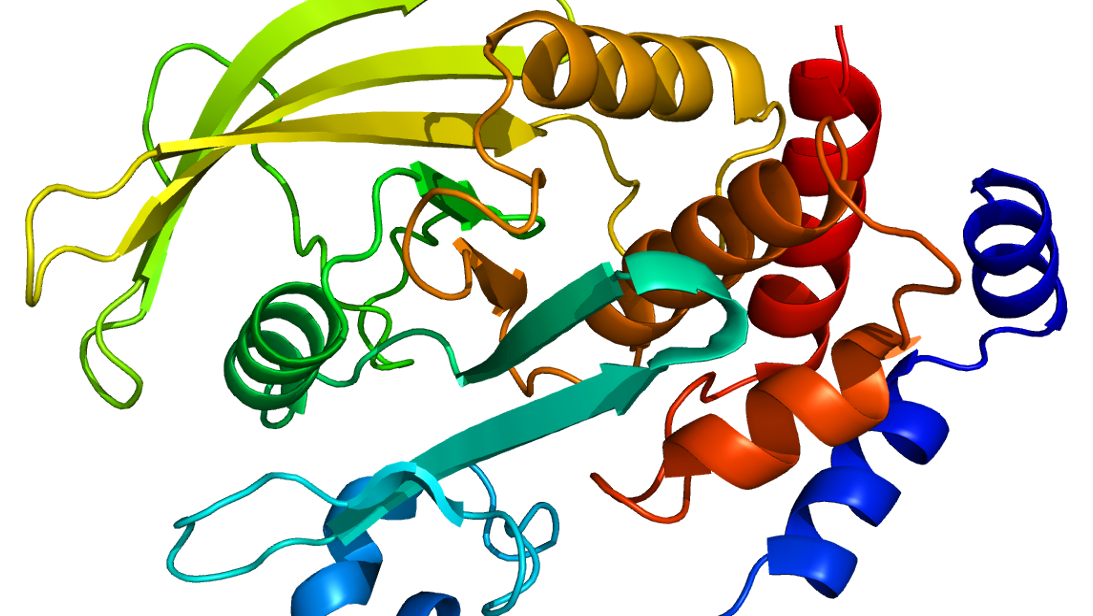Mondego Bio kicks off with Series A financing - European Biotechnology ...