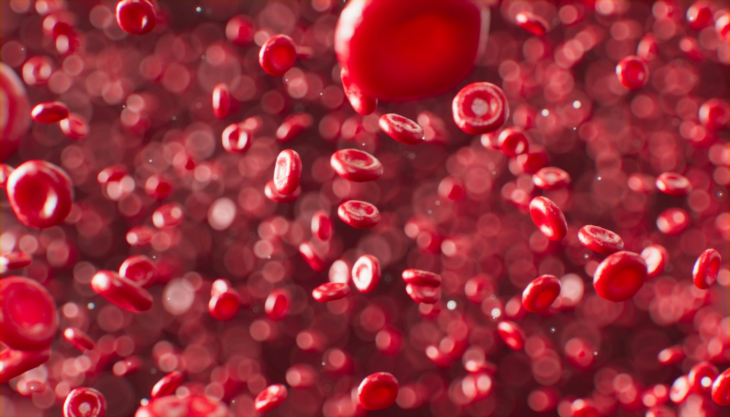 Scarlet raises £3.2 million to advance lab-grown red blood cell ...
